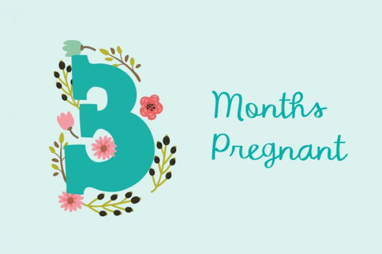 Third month of pregnancy - symptoms, baby development and physical ...